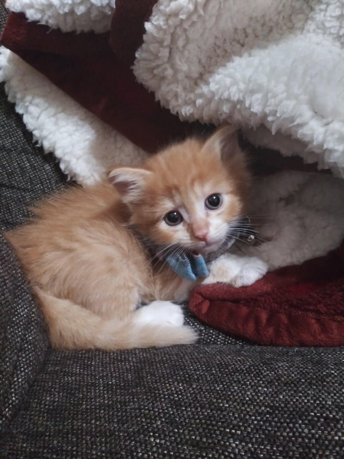 Back when he was smol - 9GAG