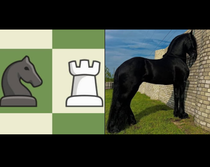 Chess is weirdly addictive - 9GAG