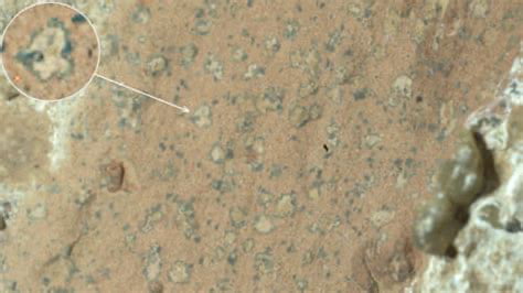 Leopard Rock found on Mars, suggest ancient life. - 9GAG