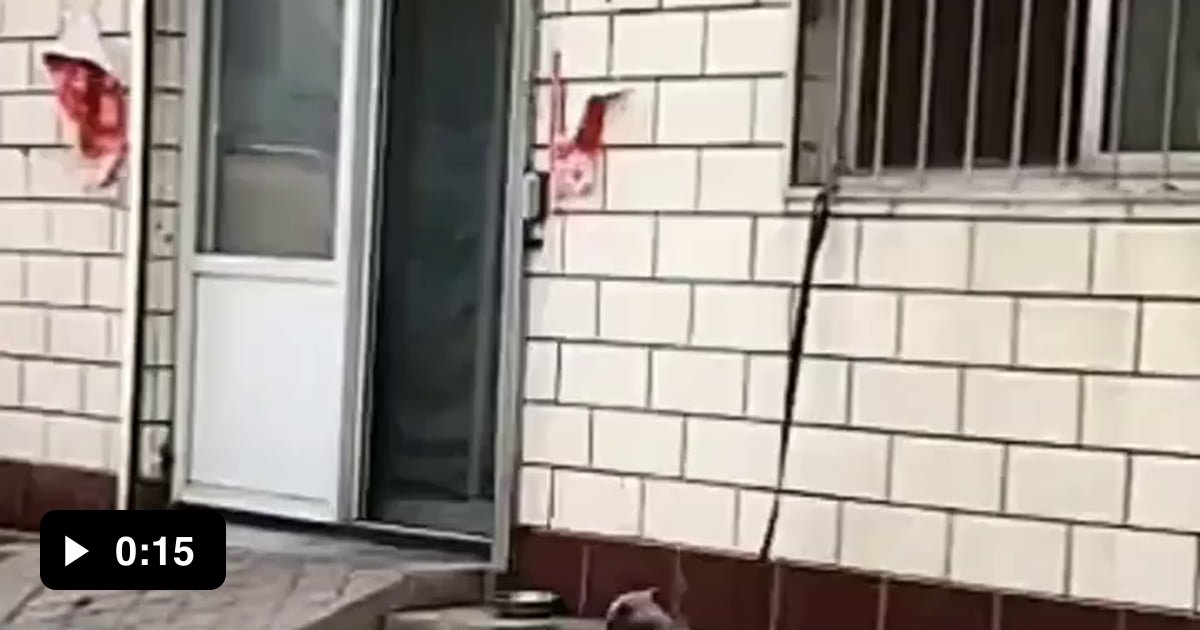 Oh yeah, that's awesome, shake it! - 9GAG