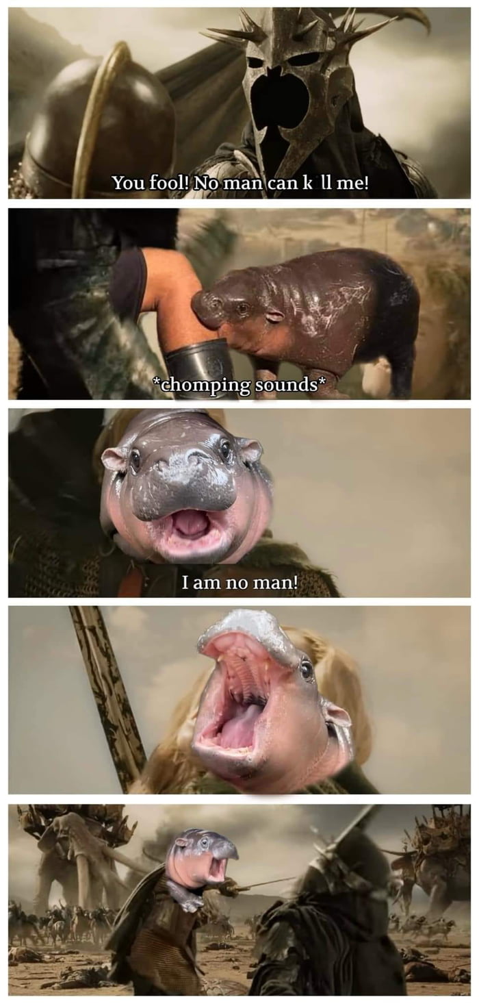 Moo Deng finds the loophole. - 9GAG