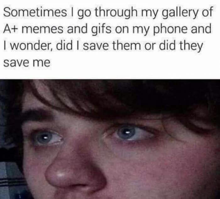 Reshare your A+ memes, they live by sharing. - 9GAG