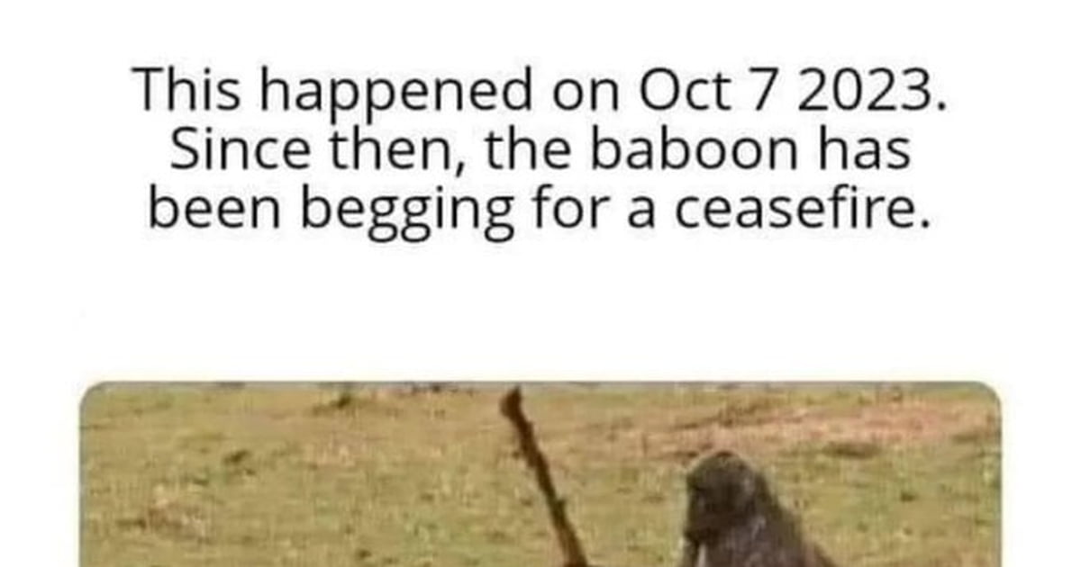 Nat Geo is getting wild with their shenanigans - 9GAG