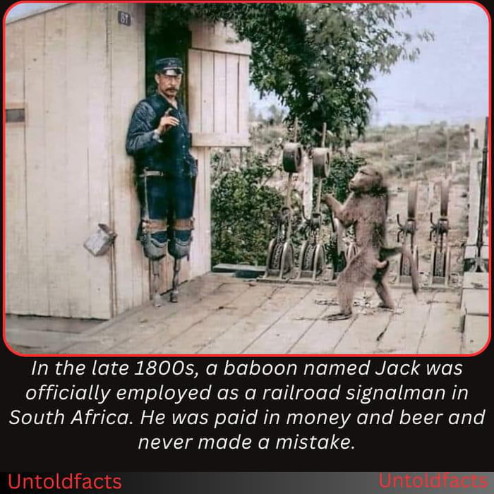 Jack didn’t take any shit, he threw it. - 9GAG