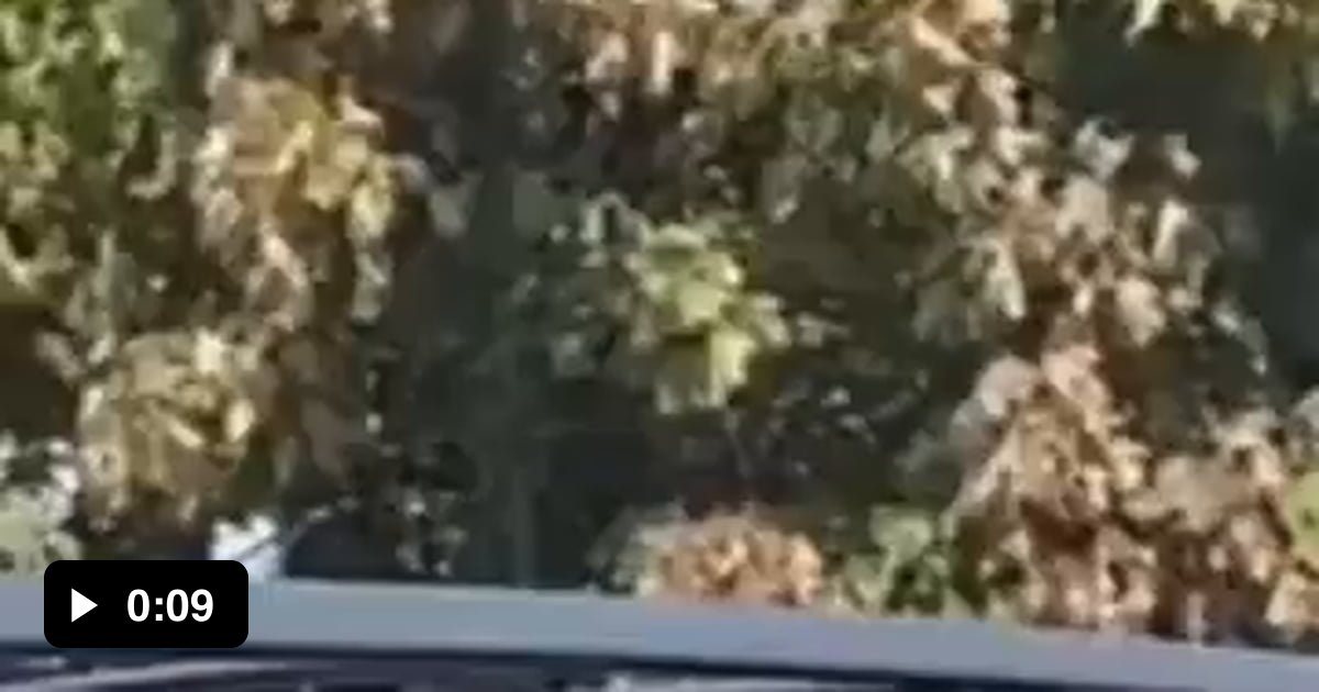 Do you know who I am?! - 9GAG