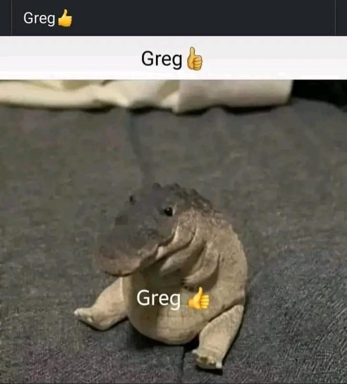 This is Greg - 9GAG