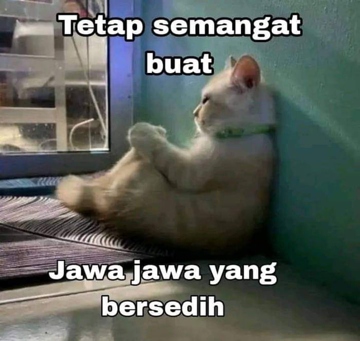 Gangguan jawa - 9GAG