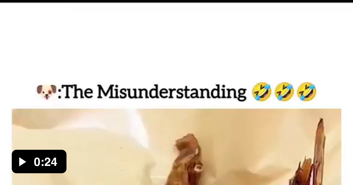 The Misunderstanding... - 9GAG