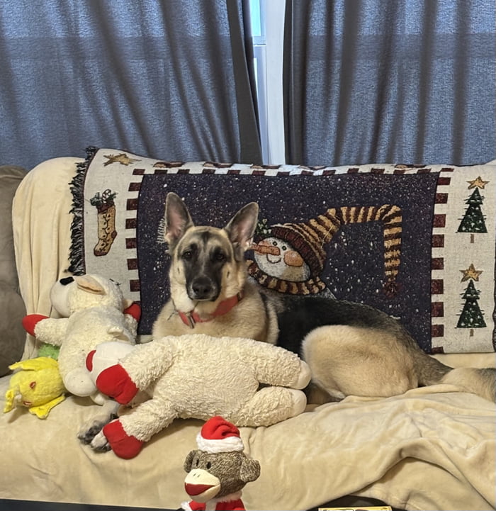 Edith June runs Bartertown! - 9GAG