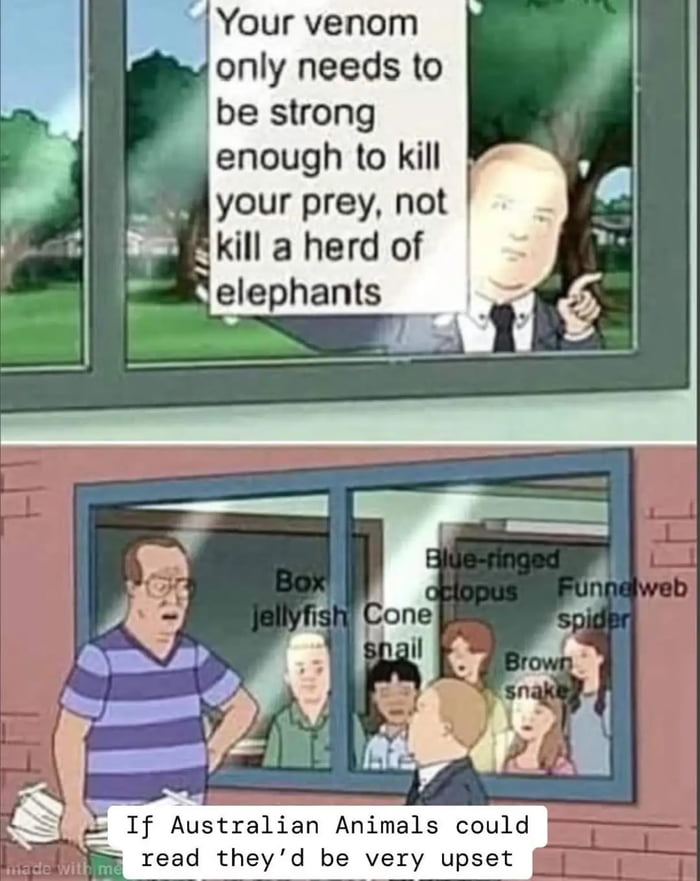 Just 'straya things - 9GAG