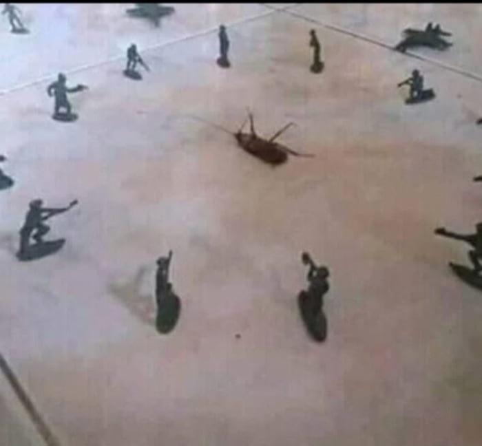 Chuslims in every country. Humne Pak bheek me diya tab yaha apna ...