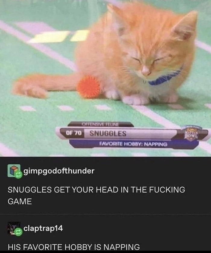 Goddamnit, Snuggles - we got 5 grand riding on that score! - 9GAG