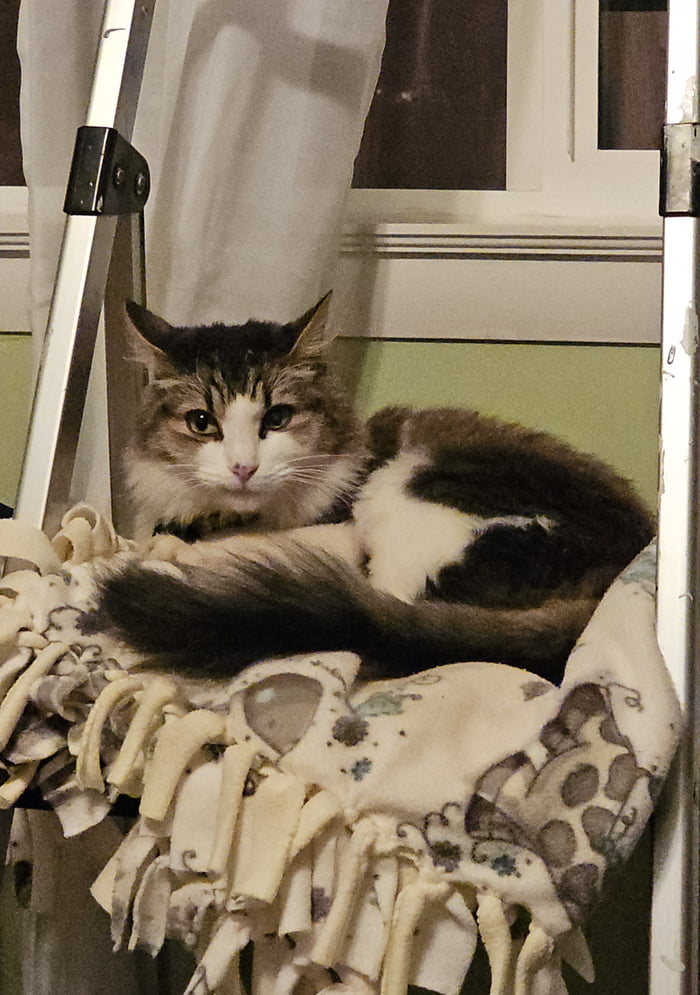 That smirk of hers... - 9GAG