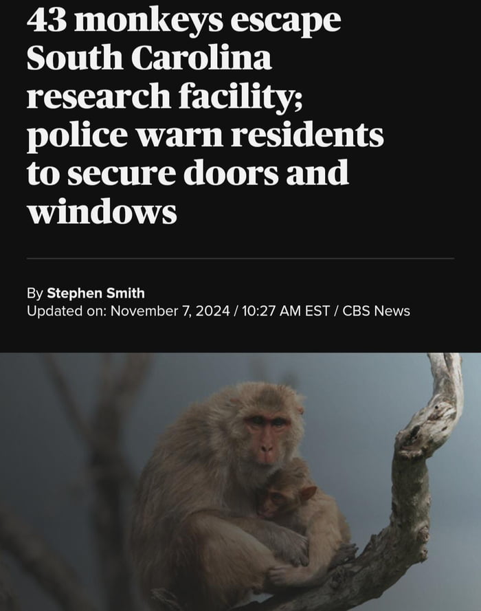 43 Loose Research Monkeys - 9GAG