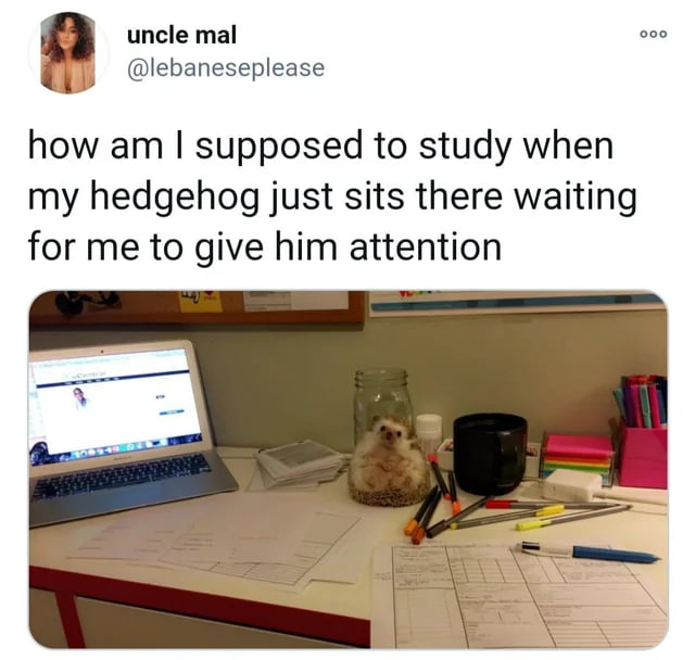 Study buddy - 9GAG