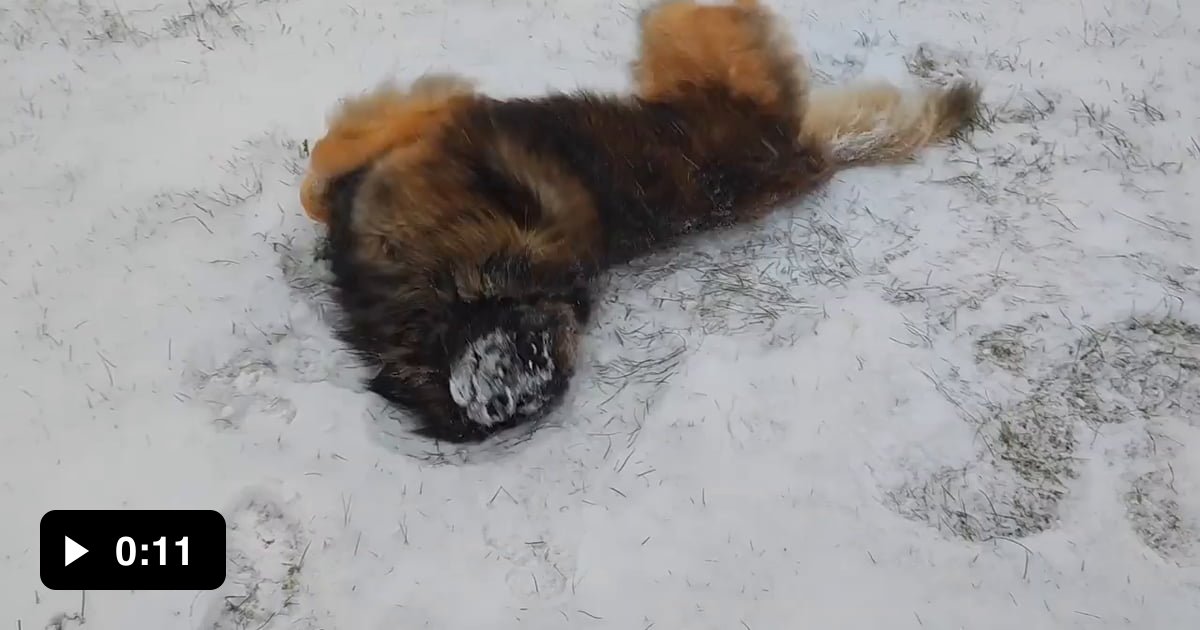 Temperature is perfect. Finally! - 9GAG