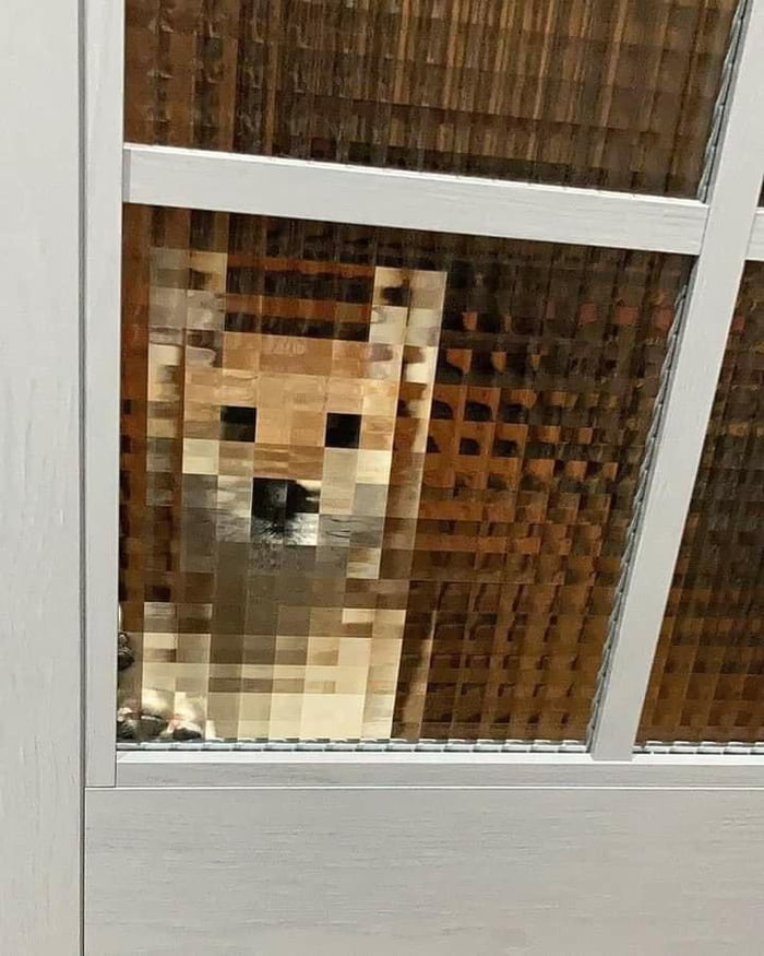 Pixel Doge - 9GAG