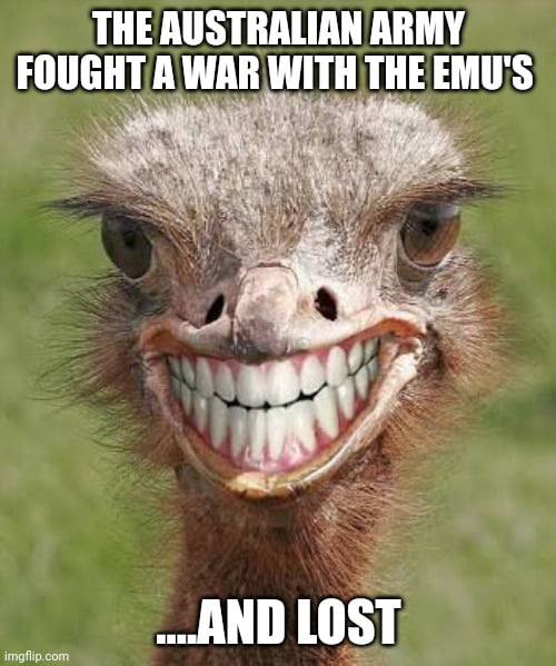 The Great Emu War - 9GAG