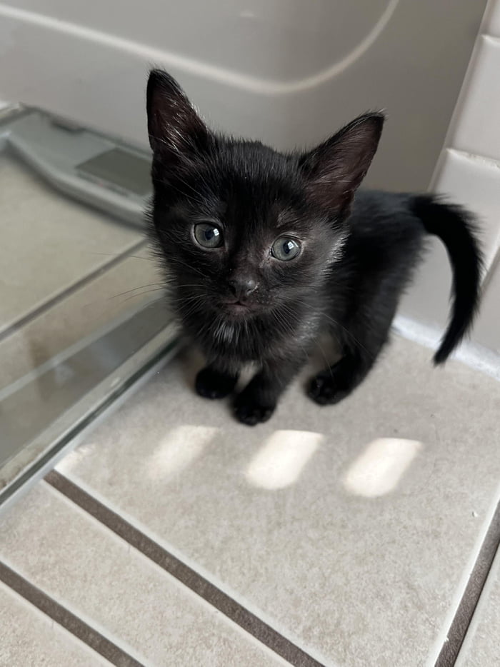 Little void, Ophelia - 9GAG