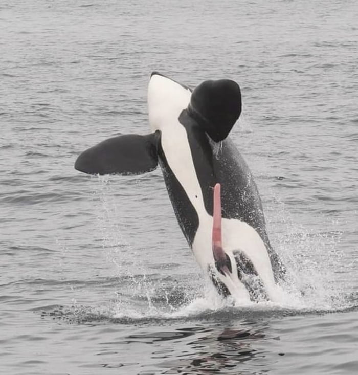 Happy new year, you miserable Jory bastards - 9GAG