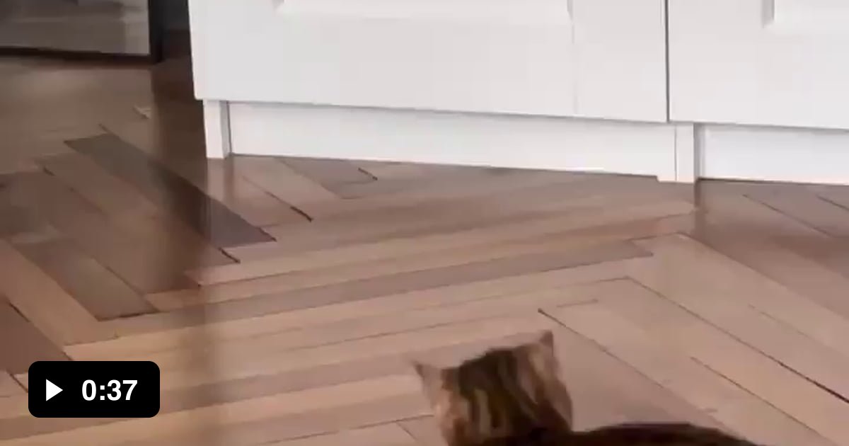 Get off my cloud - 9GAG