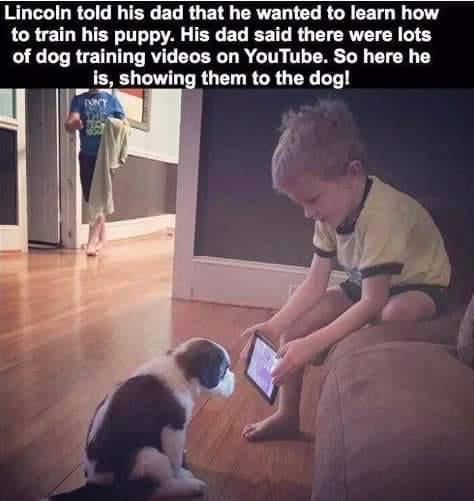 He understood perfectly - 9GAG