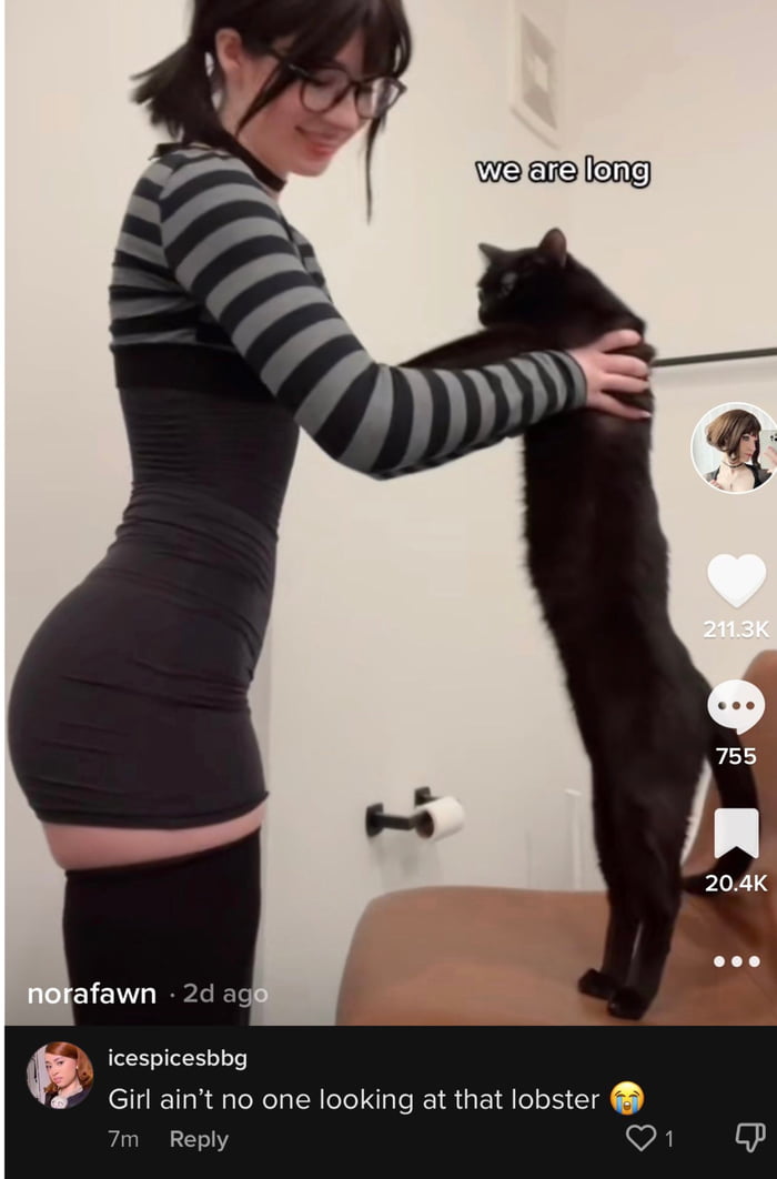 You probably didn't even notice the cat - 9GAG