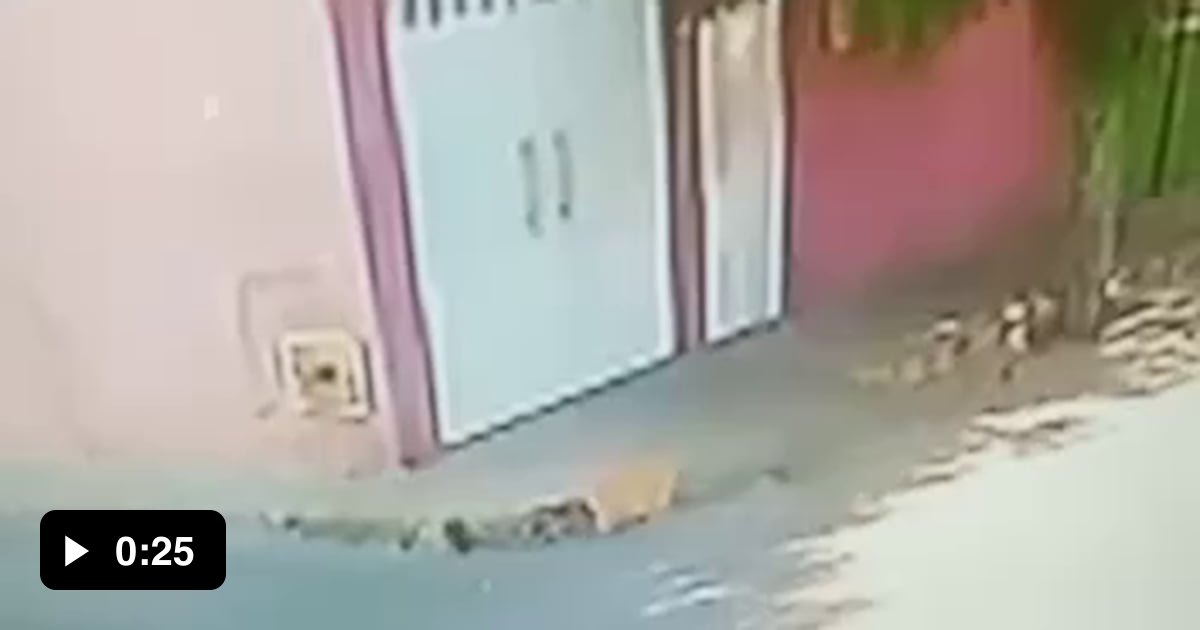 A solid 8 for the hit, 9 for the spin and 10 for the final move. - 9GAG