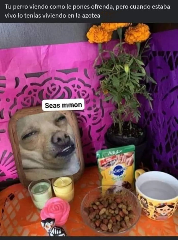 Ofrendas típicas - 9GAG