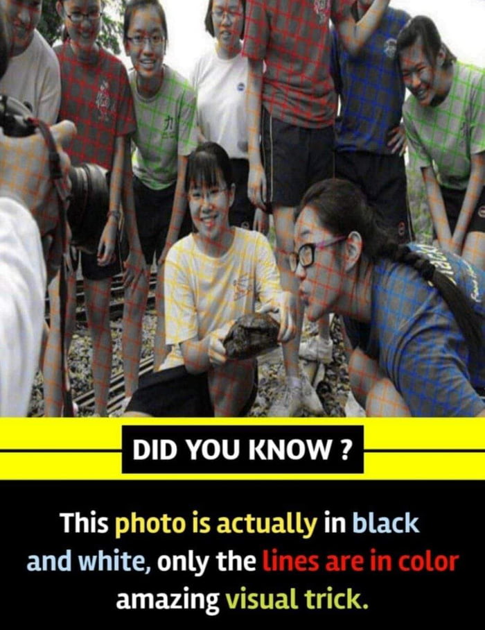 You suck brain - 9GAG