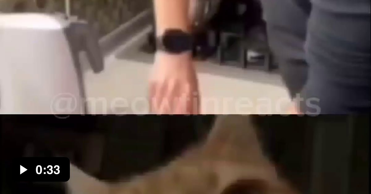 Recycling is the future - 9GAG