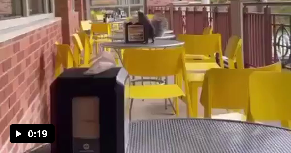 Homie needs winter insulation for his home - 9GAG