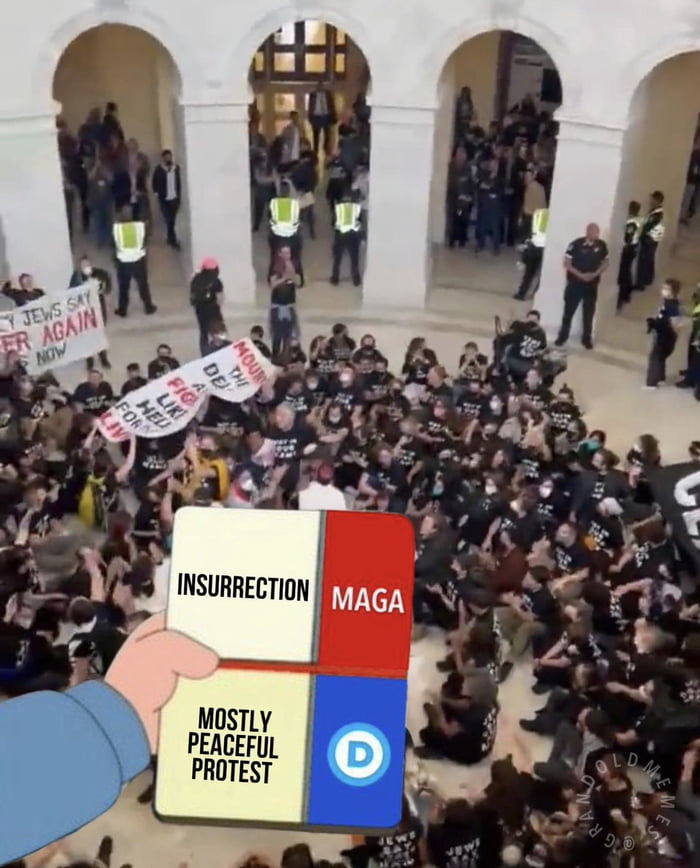 Pro Palestine leftwingers breached the US Capitol Yesterday. - 9GAG