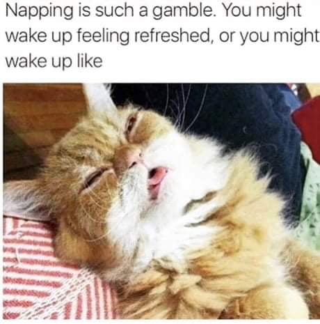 Probably the latter, but I’ll take that bet either way. - 9GAG