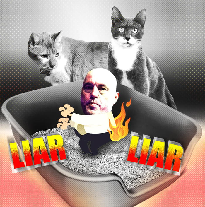 Joe Rogan admits he lied about schools using litter boxes - 9GAG