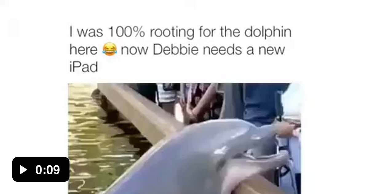 Dolphin does a YOINK - 9GAG