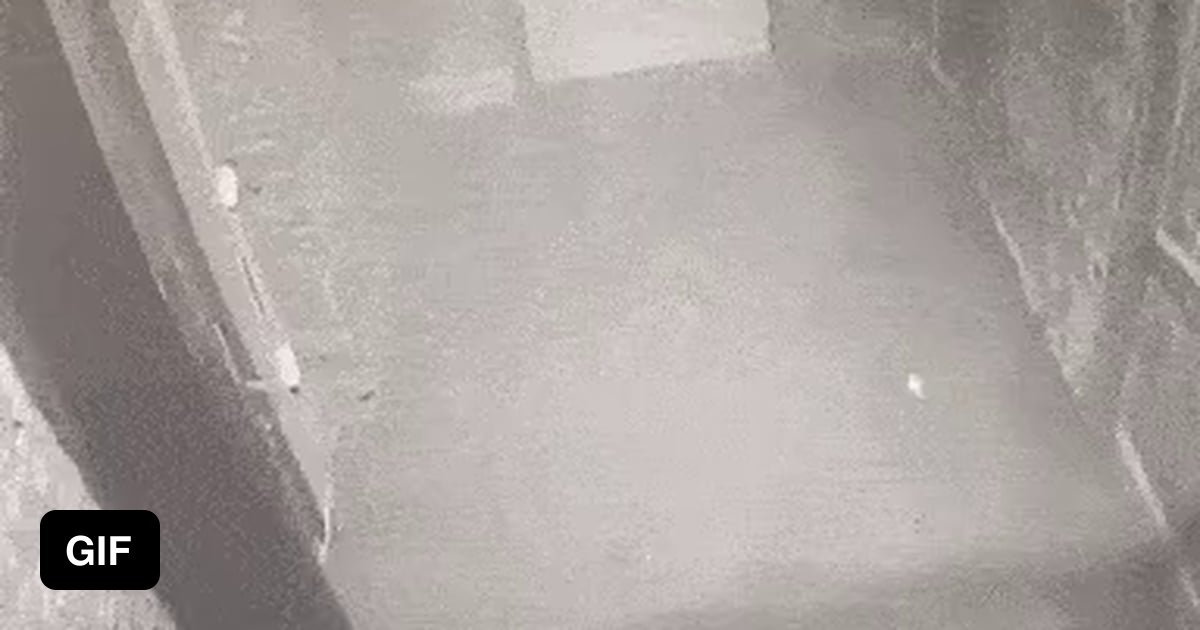 He who betrays once betrays ten times, a hundred times, and again. - 9GAG