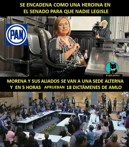 TANTA PAYASADA PARA NADA, JA JA JA - 9GAG