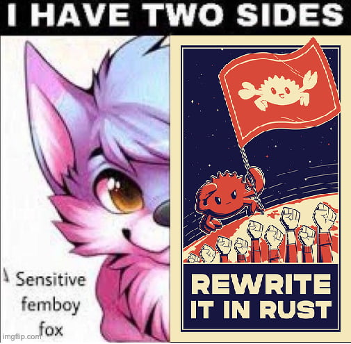 Average Rust Developer uwu - 9GAG