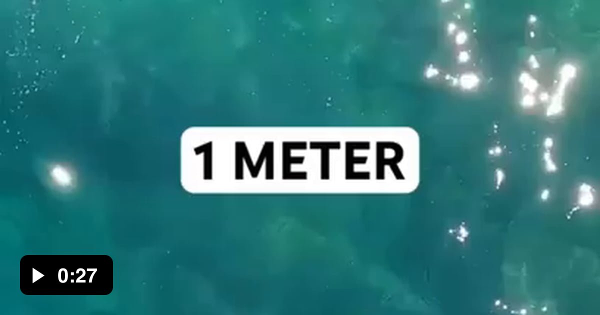 What it’s like jumping from 20 Meters - 9GAG