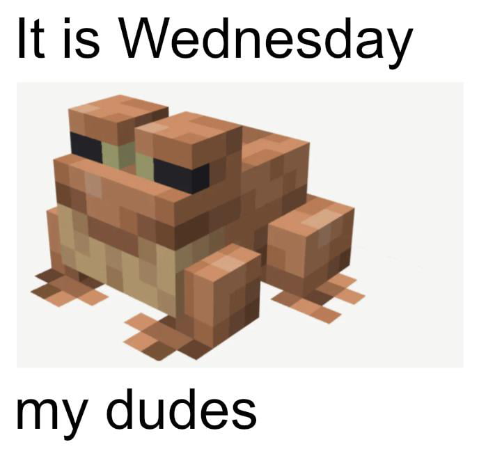 It is Wednesday, mine dudes. 🐸 - 9GAG