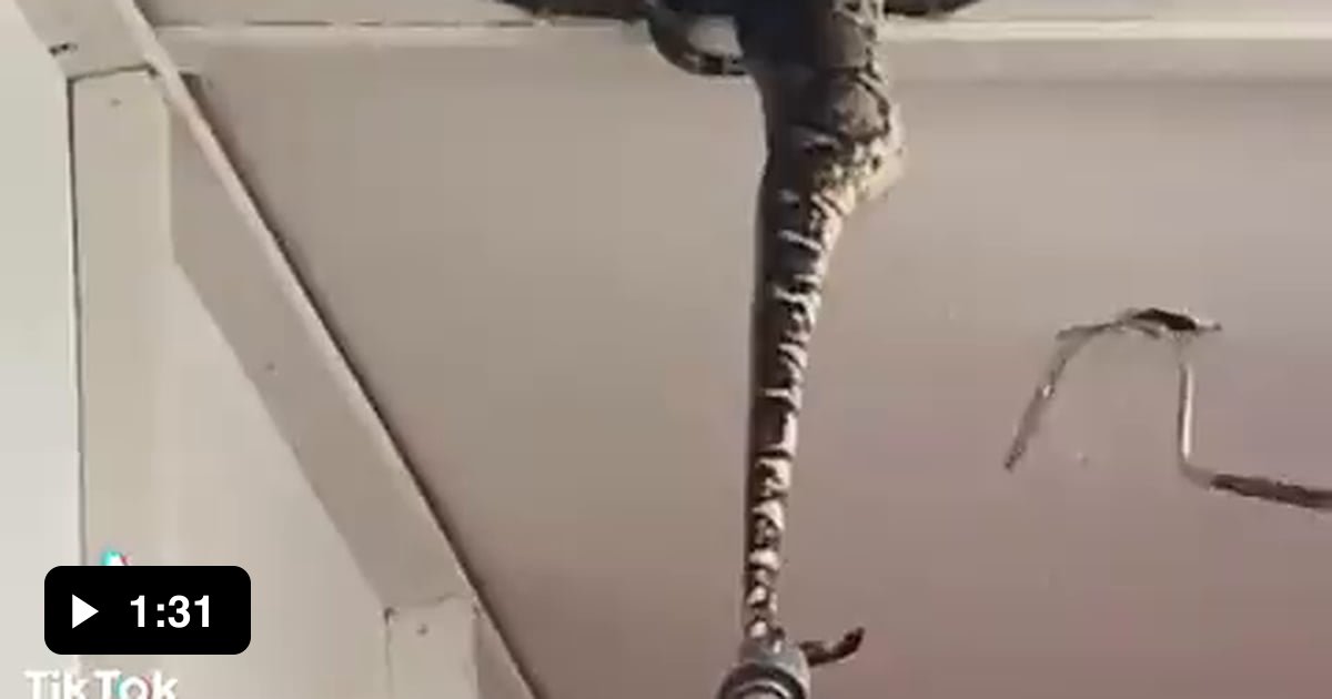 Nope, no, nah - 9GAG