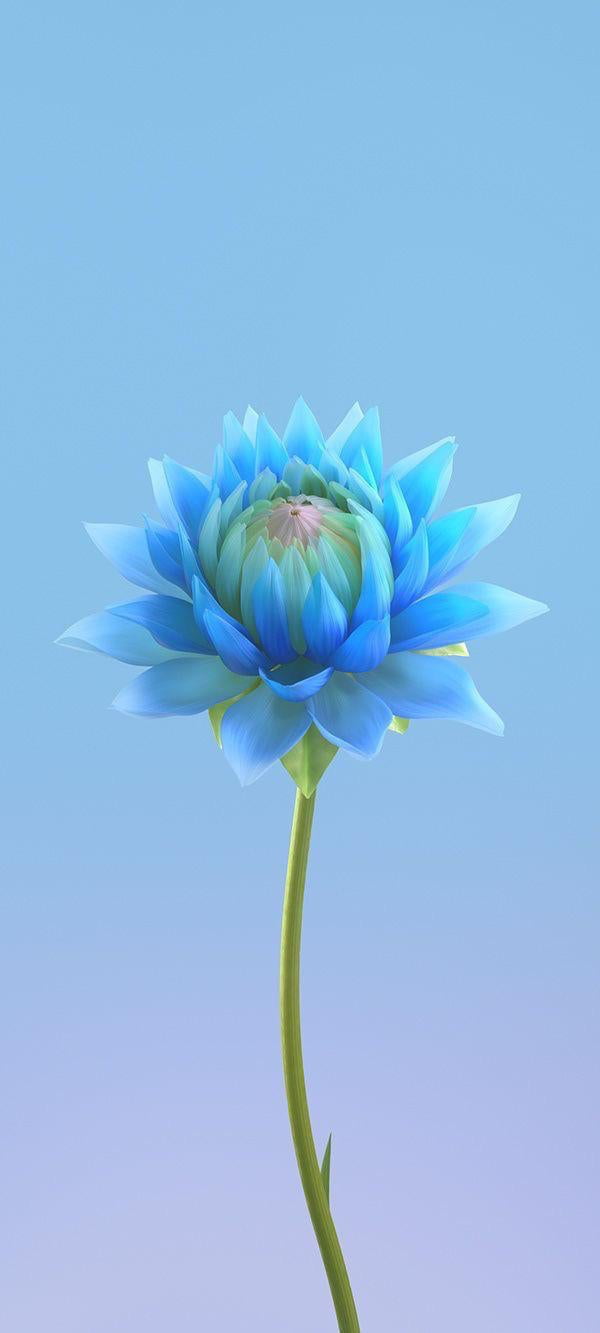 Does someone have this in 4K? - 9GAG