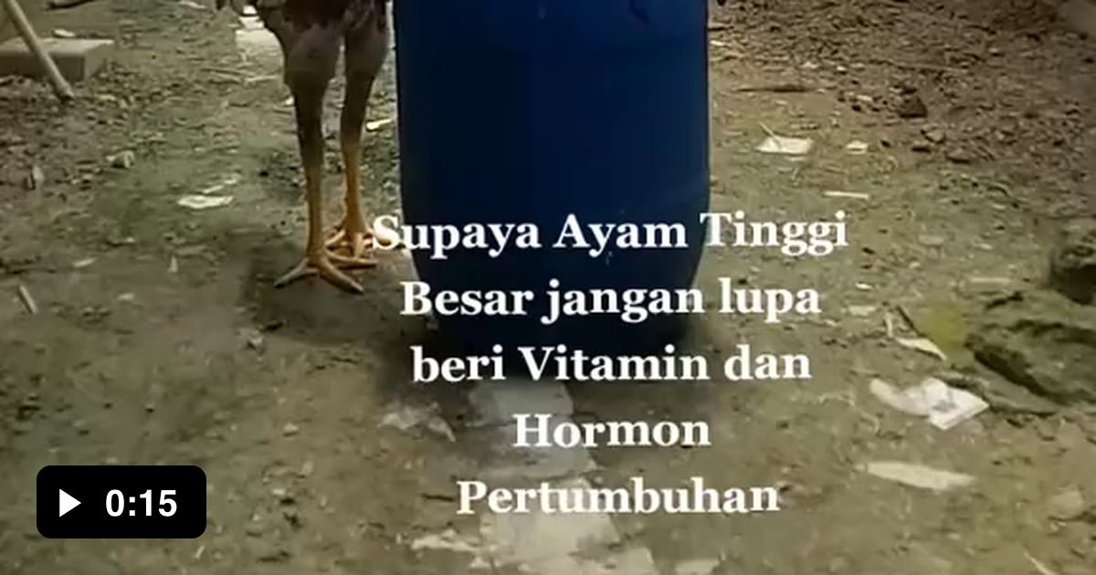 Big Cock 9gag