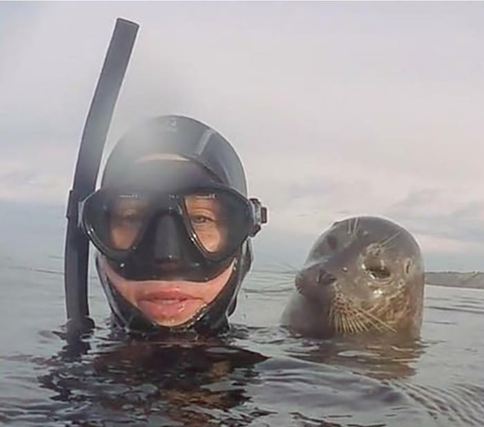 A recently declassified photo from 1984 of a Navy SEAL silently ...