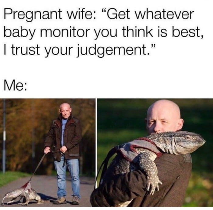 Haha, You get it? Monitor like the lizard... - 9GAG