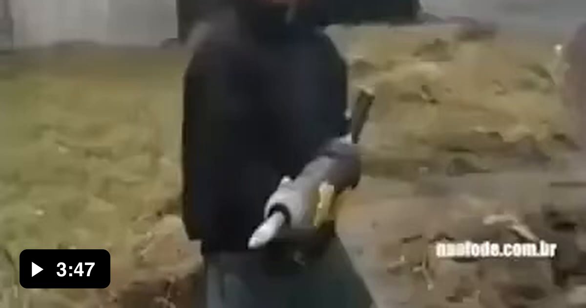 Some lighthearted video during the stick post Invasion - 9GAG