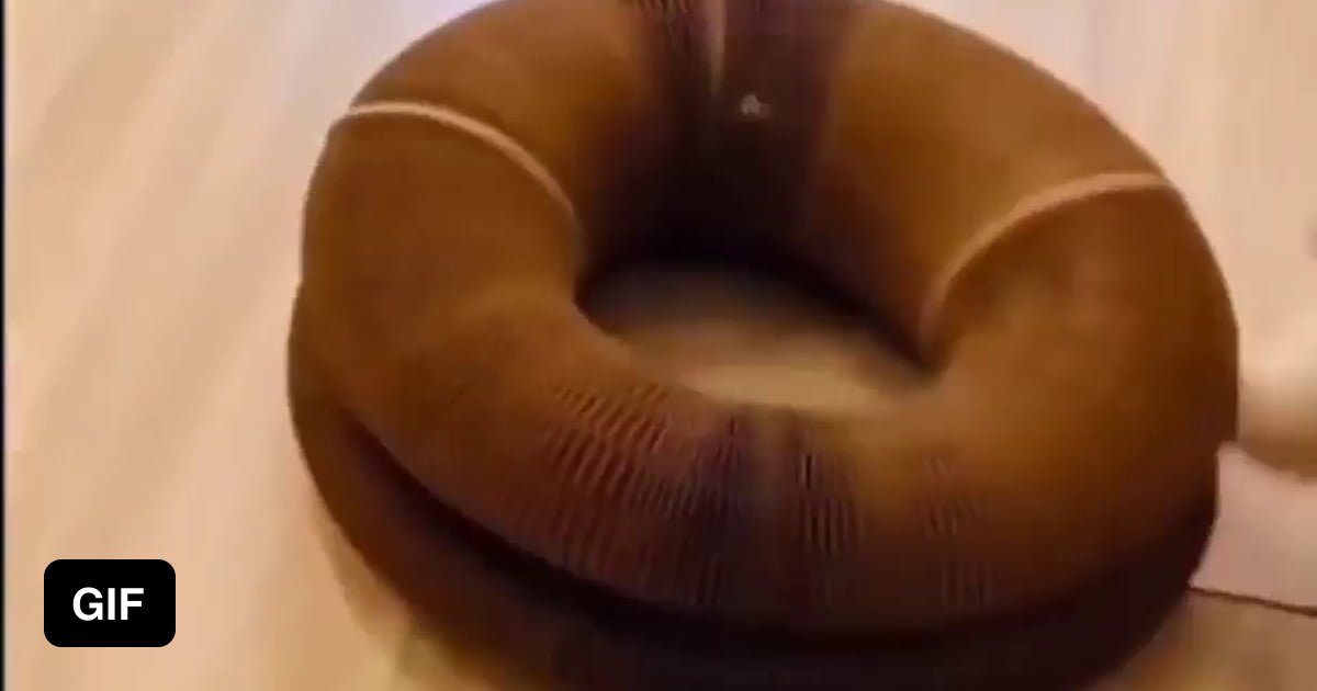 This Flexibility is magical - 9GAG