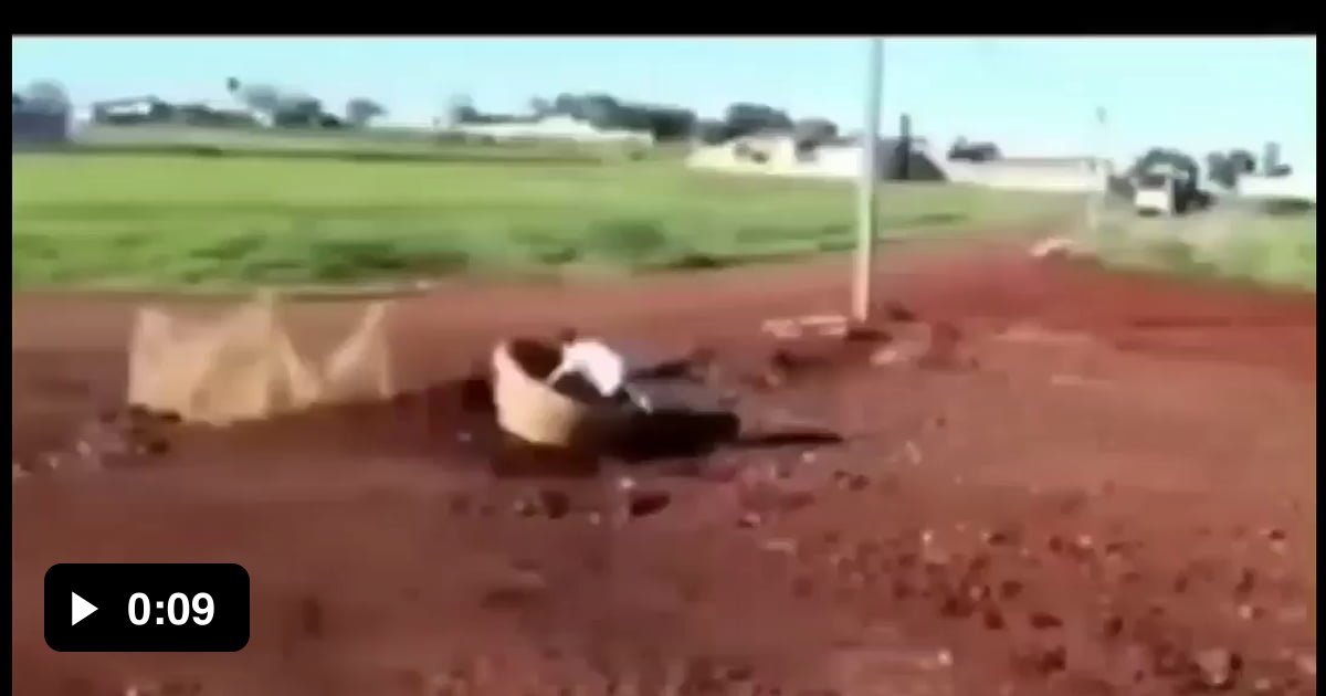Nikolas, the Pipe Jumper - 9GAG