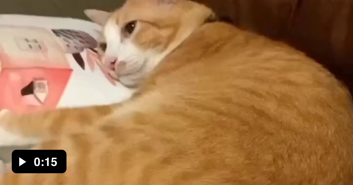 Fully charged - 9GAG